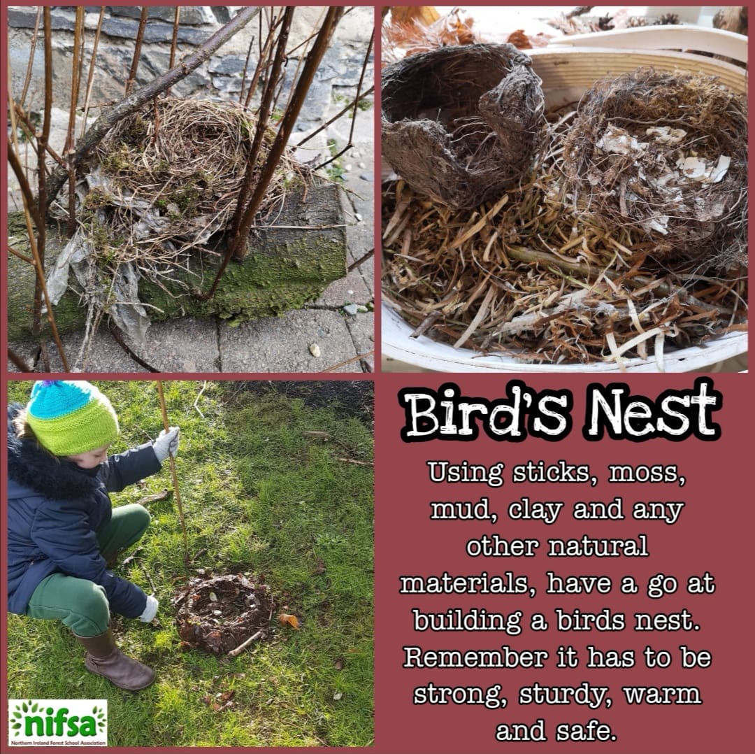 Bird's Nest • Forest Schools in Northern Ireland