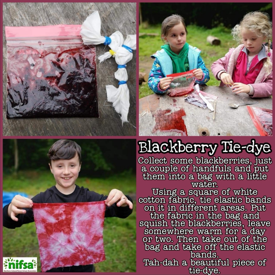 Blackberry Tye-Dye • Forest Schools in Northern Ireland