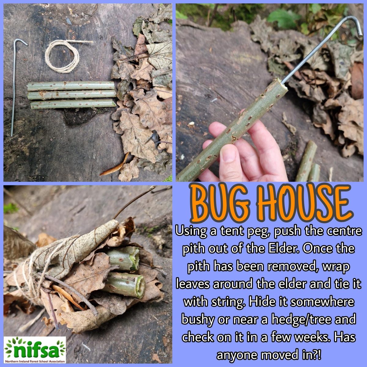 Family • Forest Schools in Northern Ireland