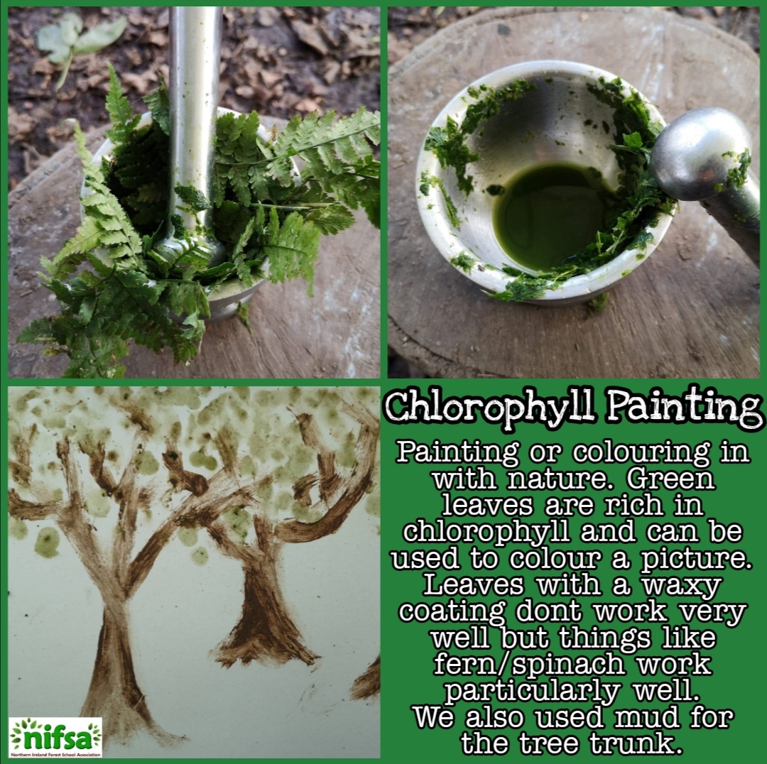 Chlorophyll Painting • Forest Schools in Northern Ireland
