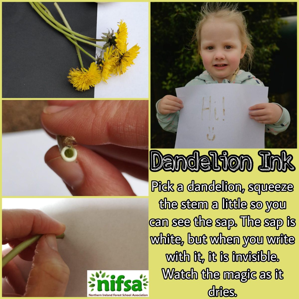 Family • Forest Schools in Northern Ireland