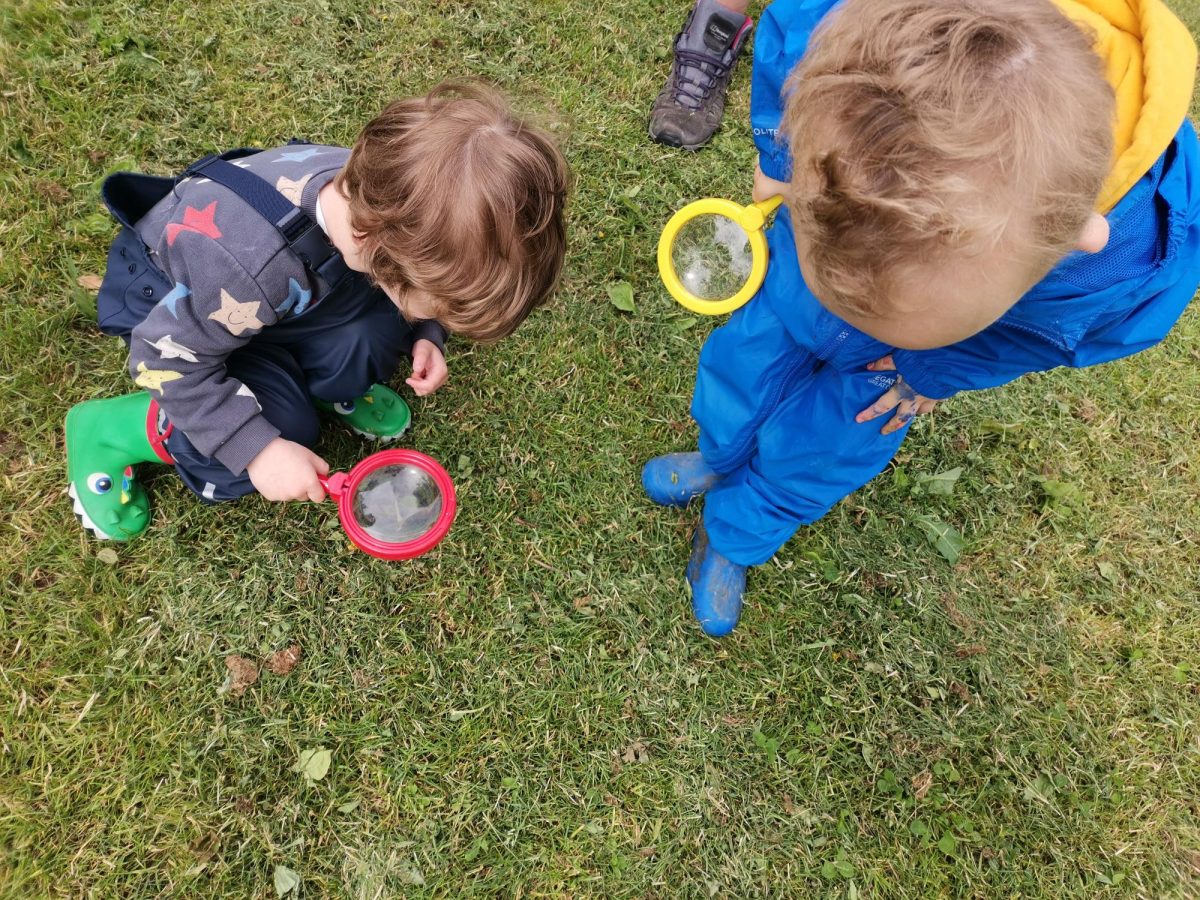 Buy Nature Rangers • Forest Schools in Northern Ireland
