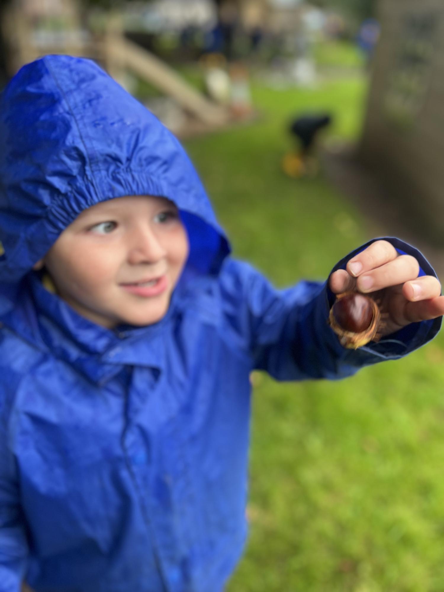 1.0c Level 1 - About NIFSA • Forest Schools in Northern Ireland
