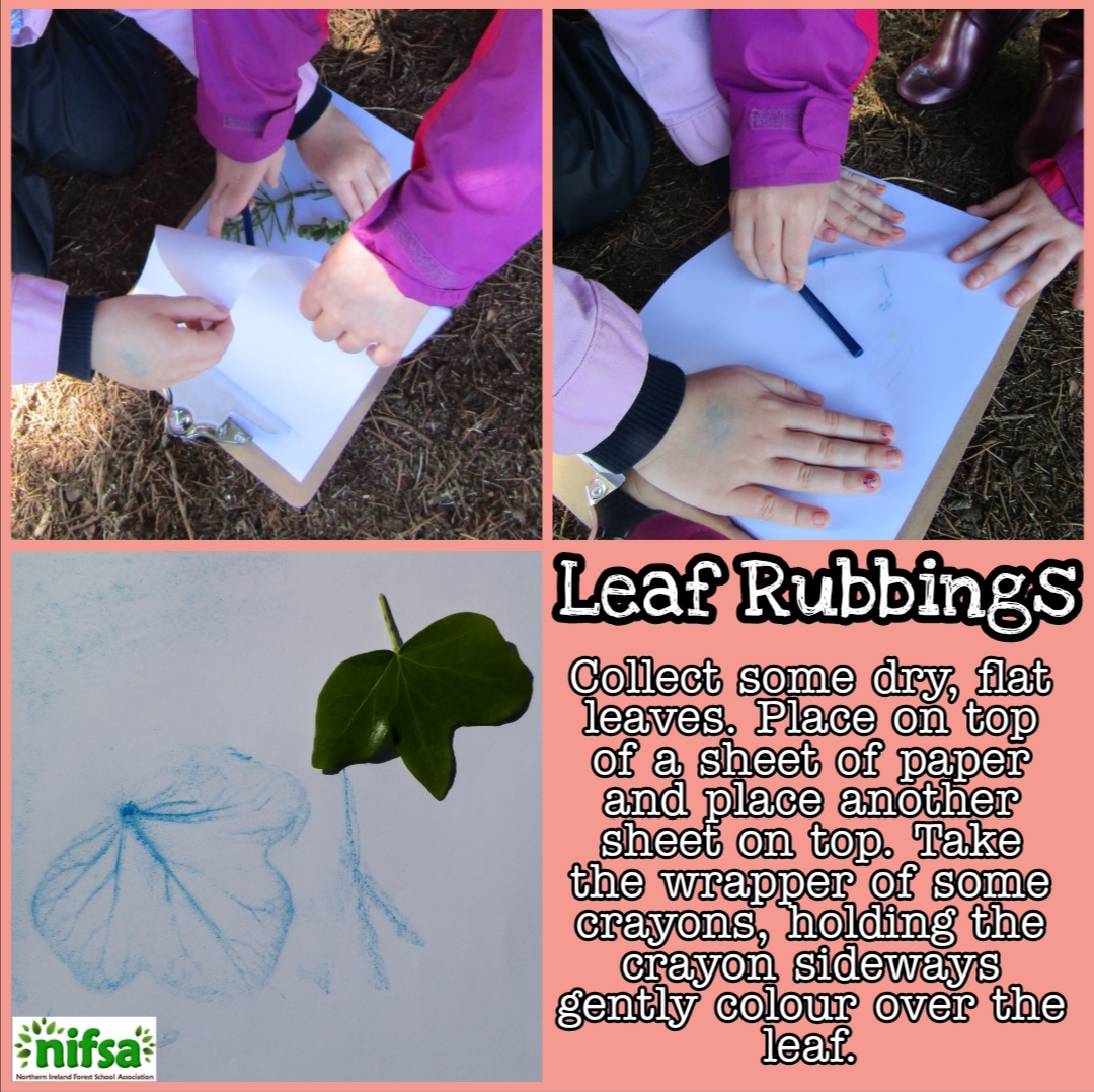 Leaf Rubbings • Forest Schools in Northern Ireland
