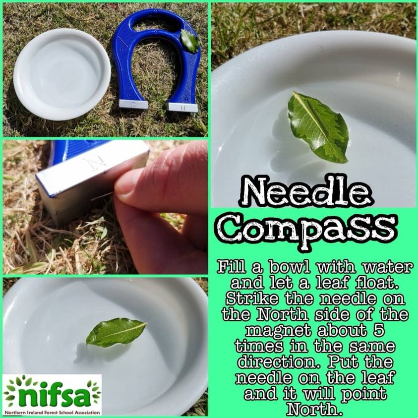 Needle Compass • Forest Schools in Northern Ireland