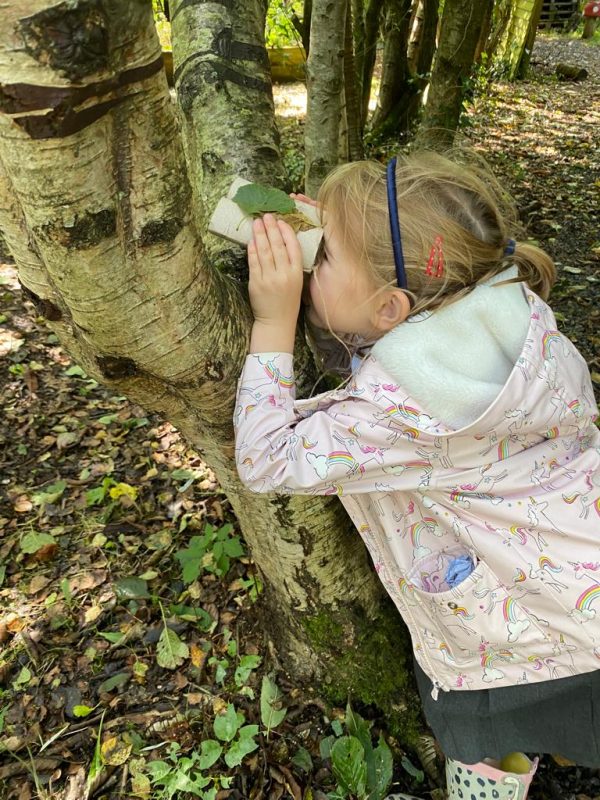 Introduction to Forest School - Level 1 Open College Network NI ...