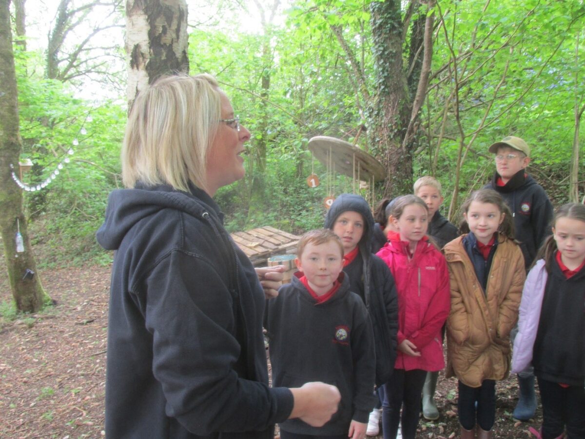 Level 3 • Forest Schools in Northern Ireland