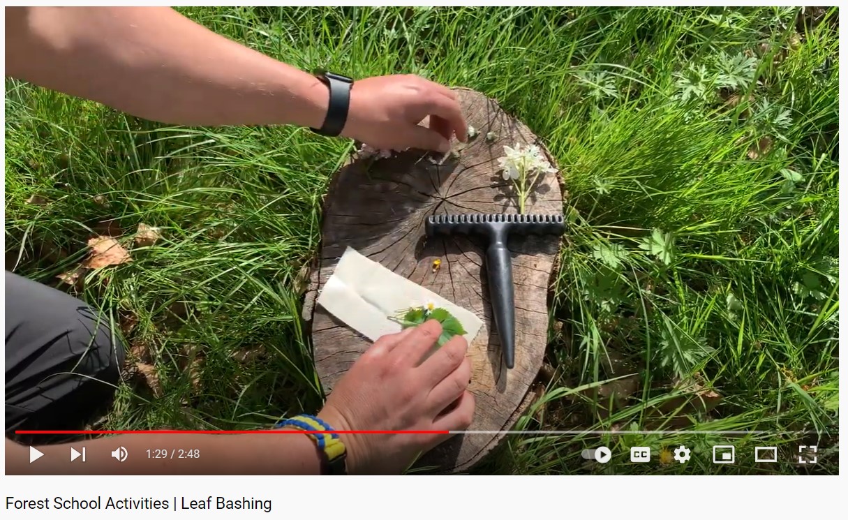 Leaf Bashing • Forest Schools in Northern Ireland