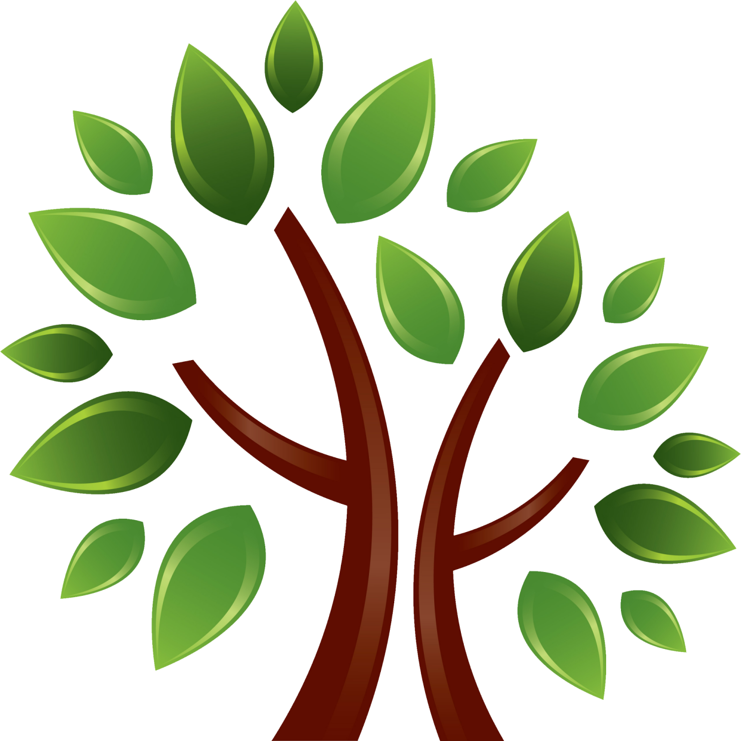 Forest School • Forest Schools in Northern Ireland