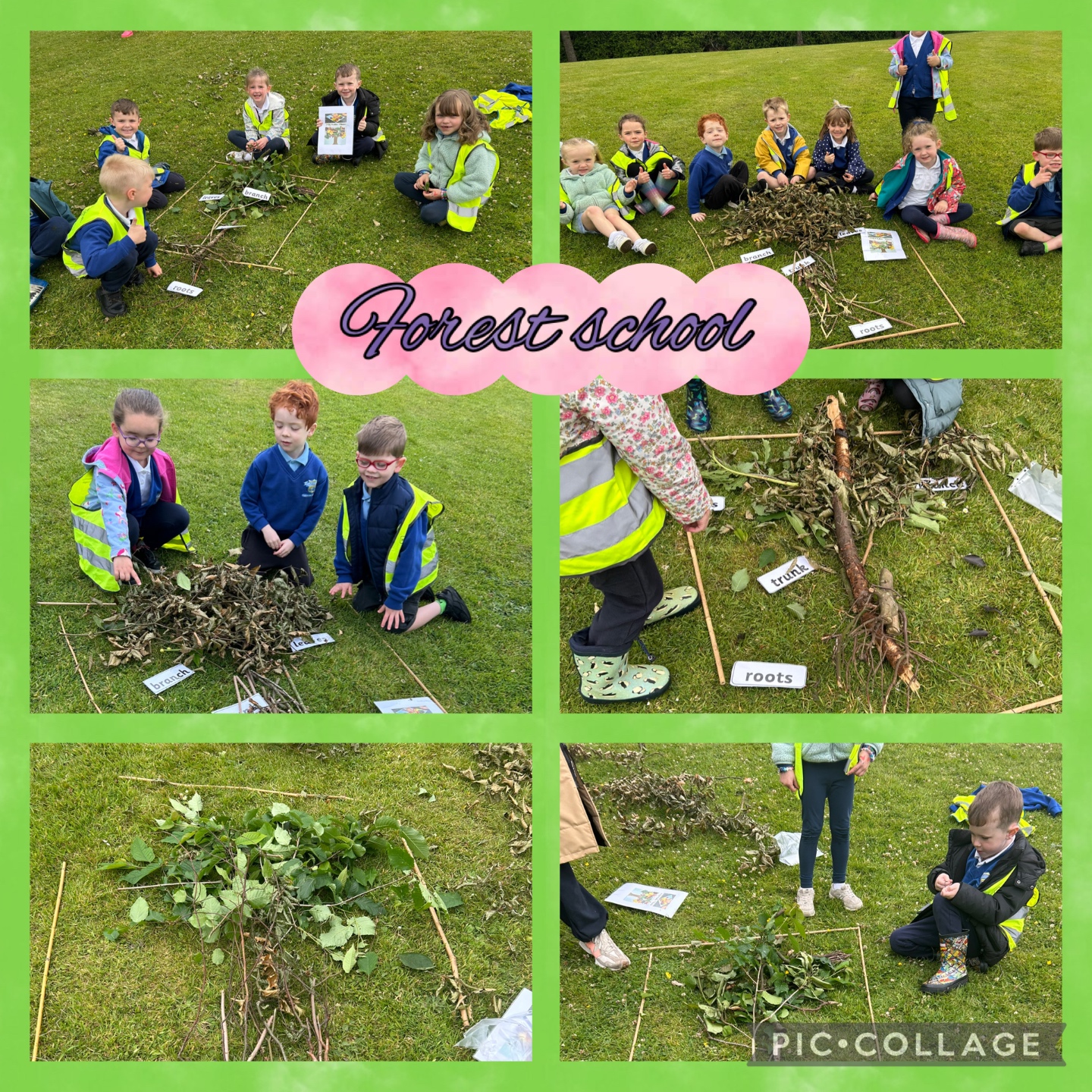 Challenge • Forest Schools in Northern Ireland