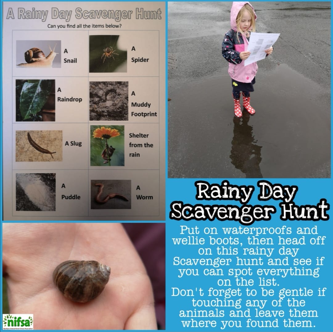 Rainy Day Scavenger Hunt • Forest Schools in Northern Ireland