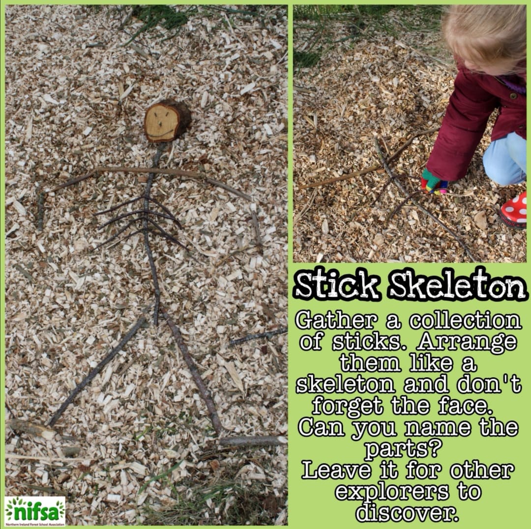 Stick Skeleton • Forest Schools in Northern Ireland